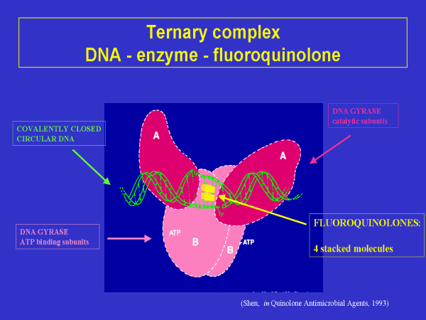 Ternary complex