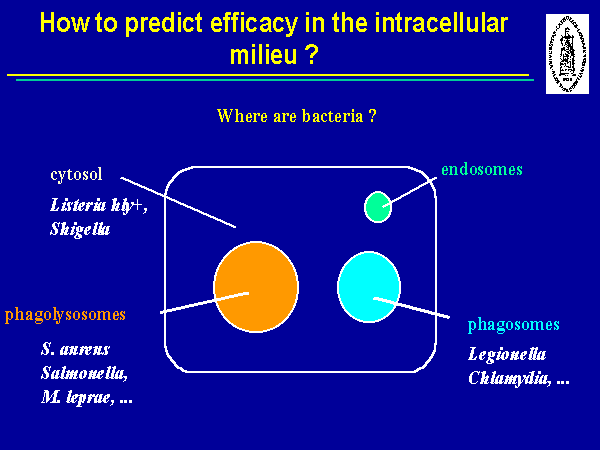 How to predict efficacy in the intracellular milieu